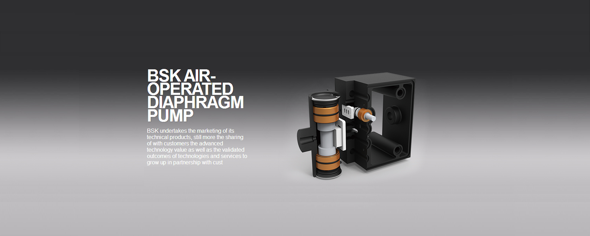 BSK FLUID TECHNOLOGY LLC