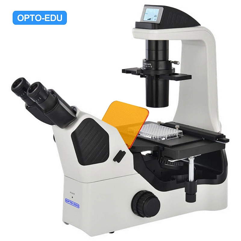 OPTO-EDU A16.1064 Inverted LED Fluorescent Microscope, B,G,U, Info LCD