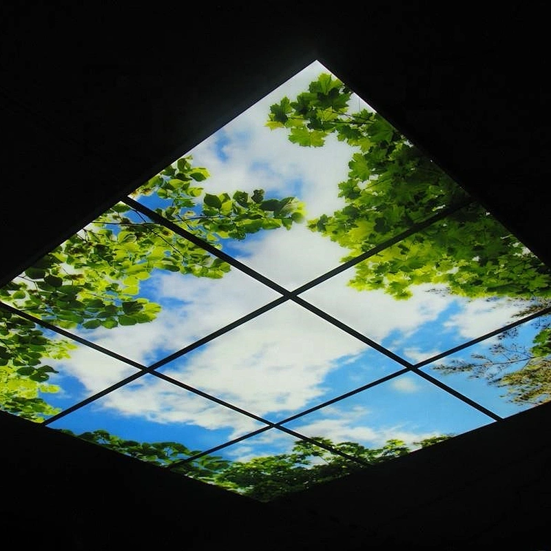 3D photos indoor artificial skylight led ceiling panel from China ...