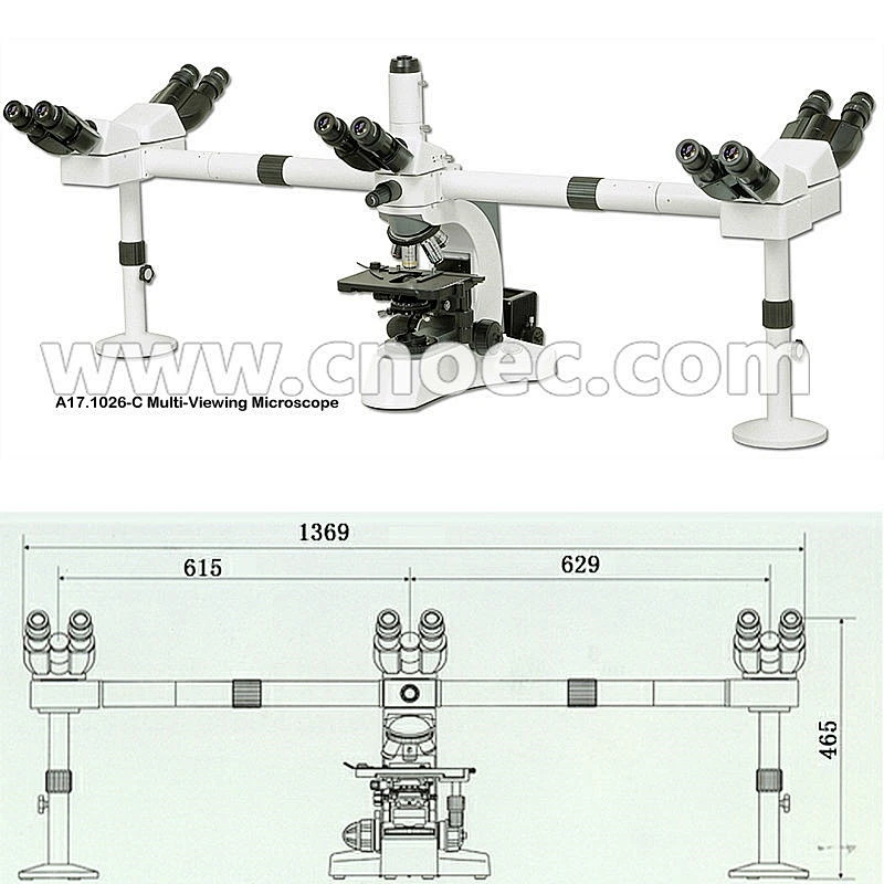Multi Viewing Microscope, 5 People