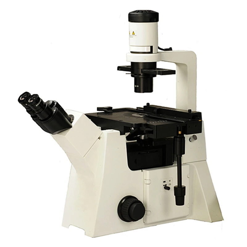 Inverted Phase Contrast Microscope