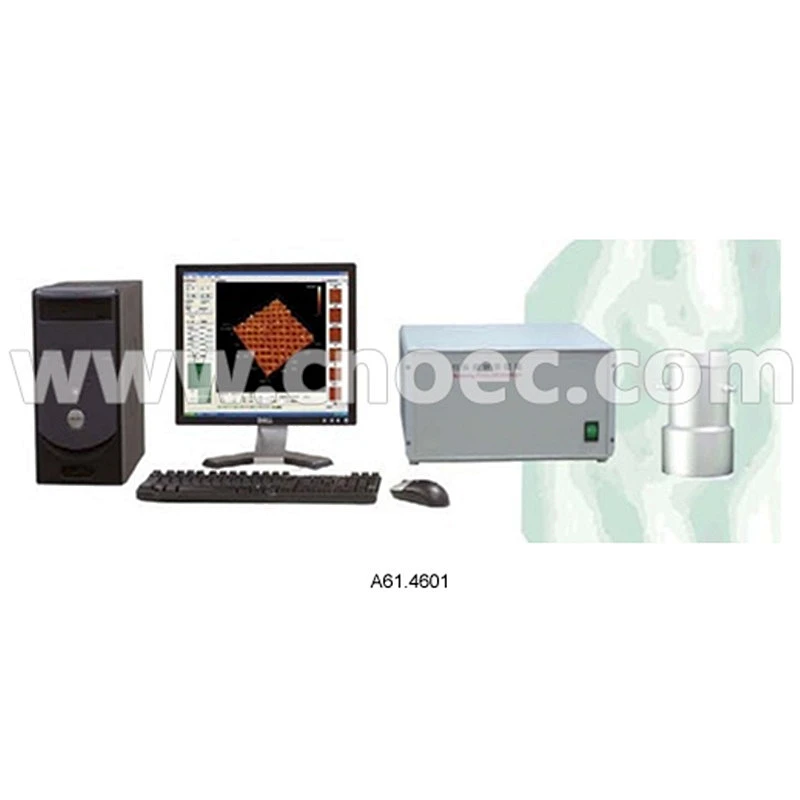 Scanning Tunneling Microscope