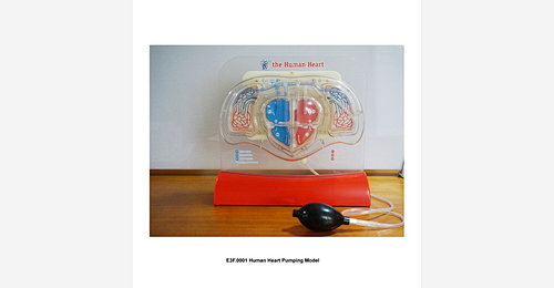 Human Heart Pumping Model