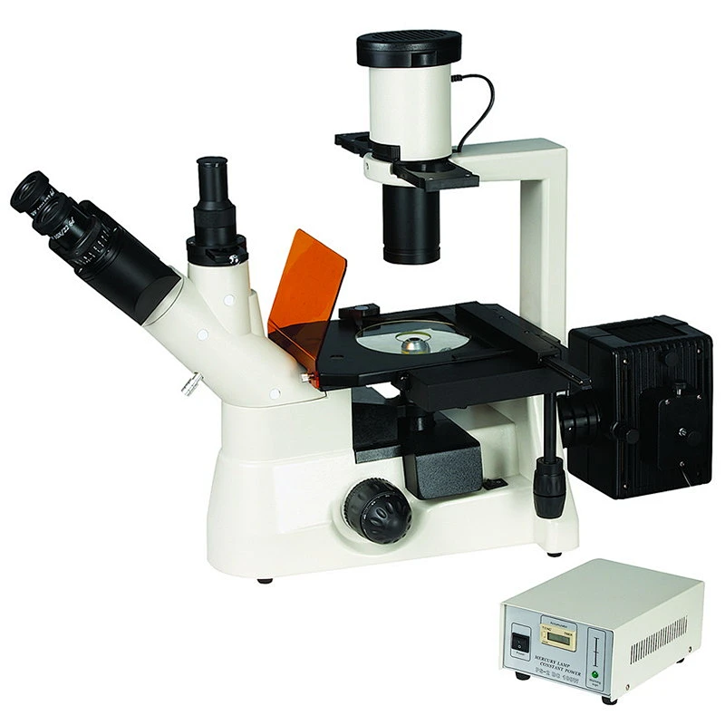 Inverted Fluorescent Microscope