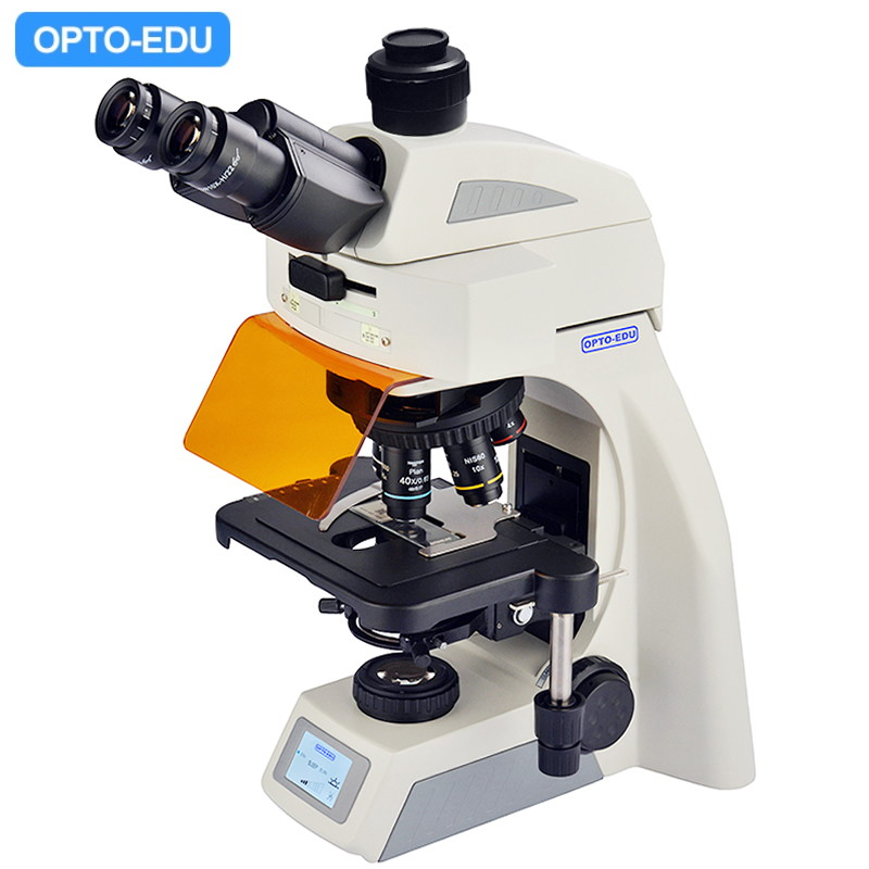 OPTO-EDU A16.1062-T LED Fluorescent Microscope, Trinocular, B,G