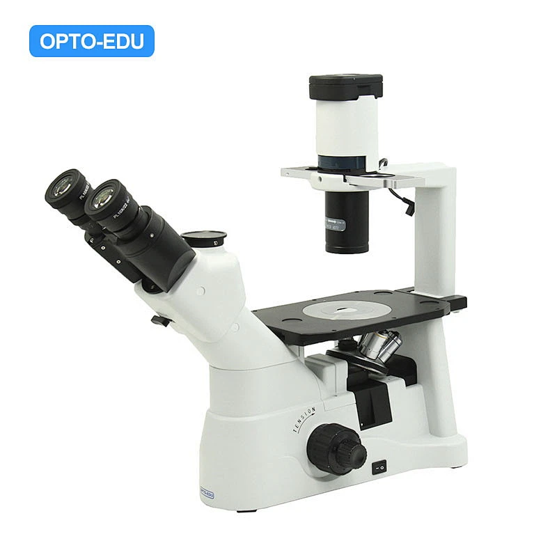 OPTO-EDU A14.0901-B Inverted Microscope, BF+PH, Critical Illumination ...