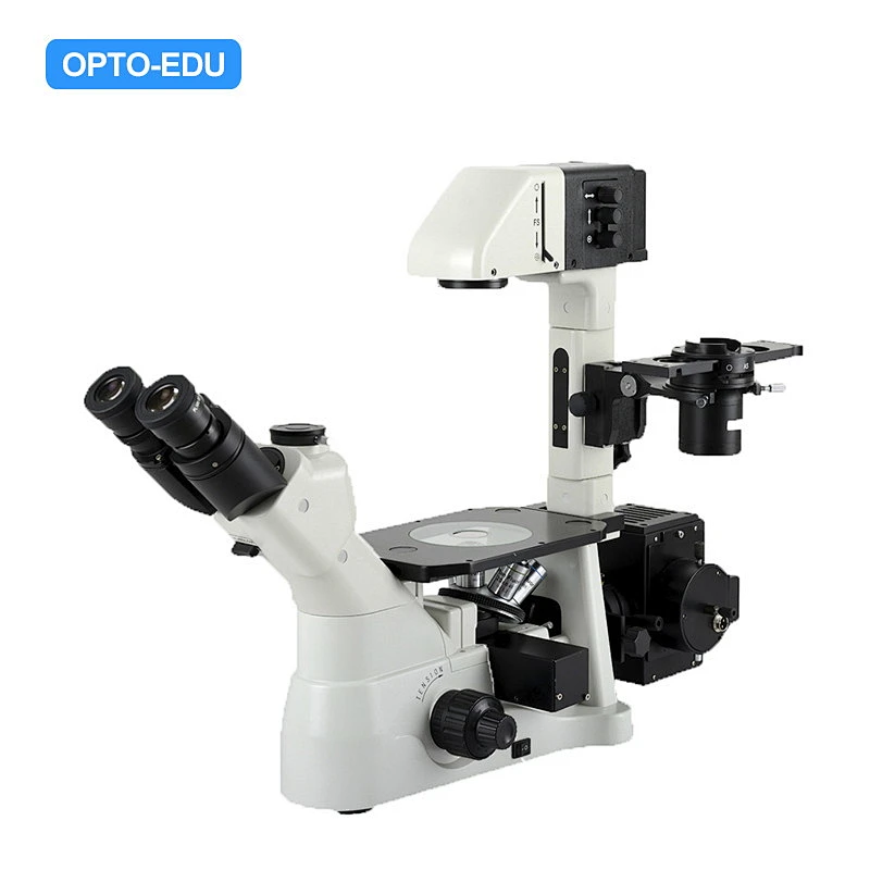 OPTO-EDU A14.0900-B Inverted Microscope, Kohler Illumination, Trinocular