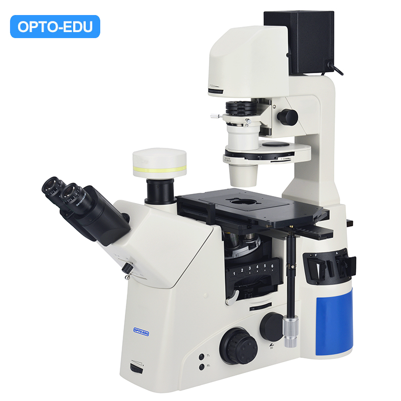 OPTO-EDU A14.1096 Inverted Laboratory Microscope, Semi-Auto, Semi-APO ...