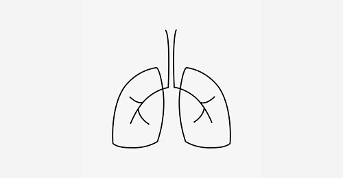 E3E Амьсгалын систем - , Нийлүүлэгч – Opto-Edu (Бээжин) ХХК.