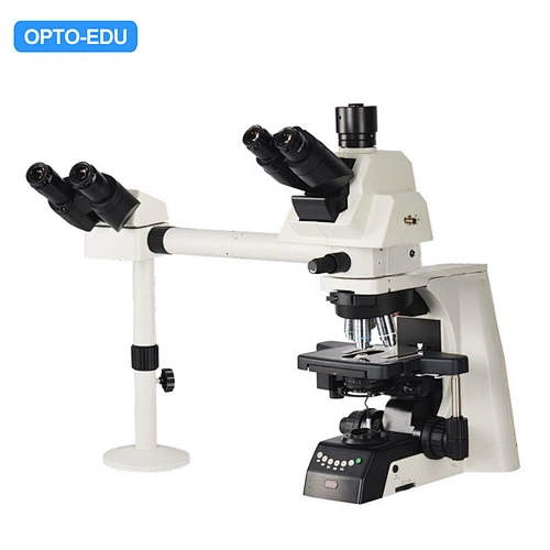 Multi-Viewing Microscope | Optoedu