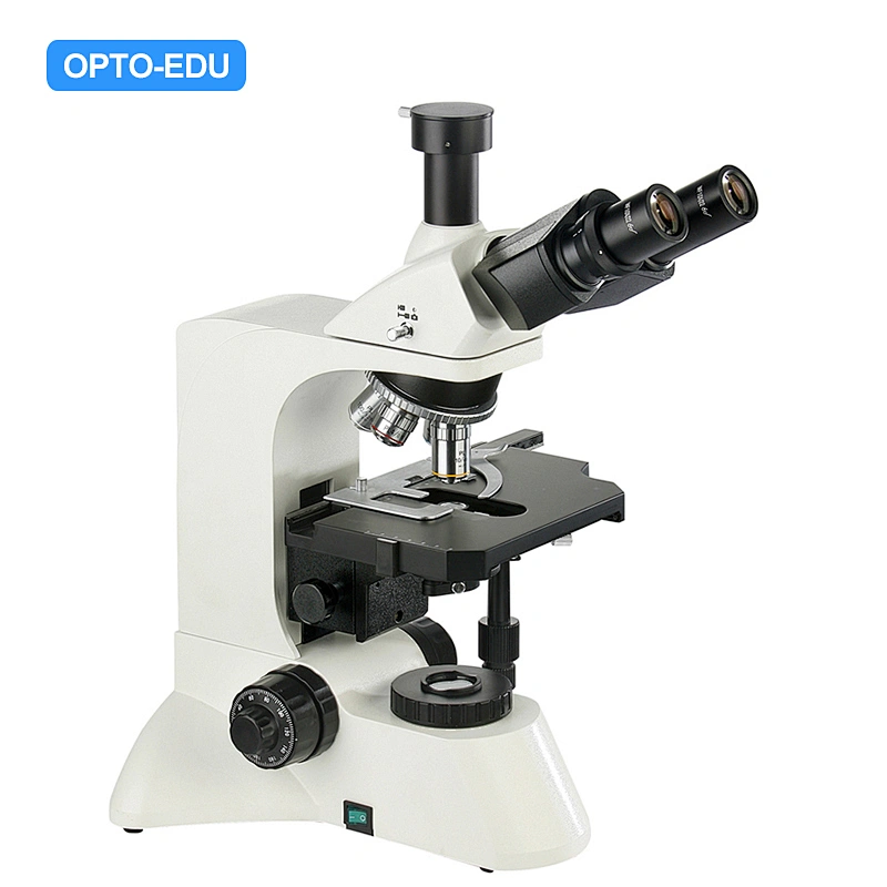 OPTO-EDU A12.0204-A Laboratory Biological Microscope, Quadruple Nosepiece