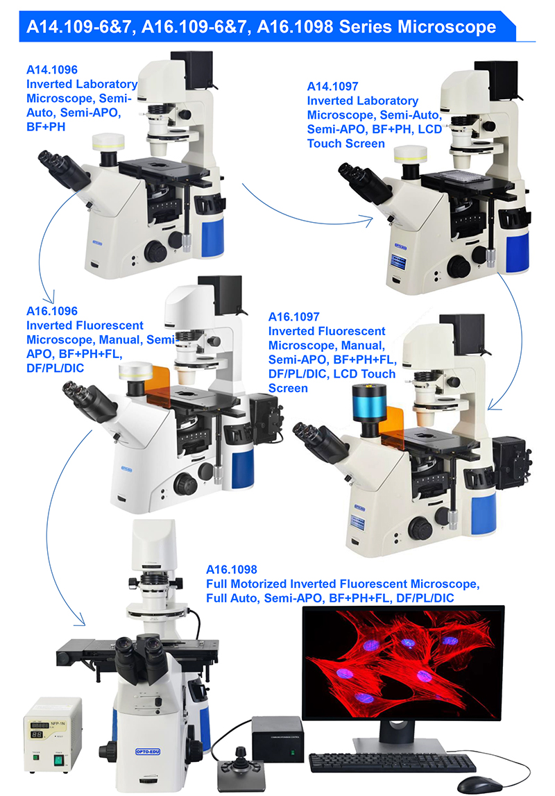 OPTO-EDU A16.1098 Full Motorized Inverted Fluorescent Microscope, Semi ...