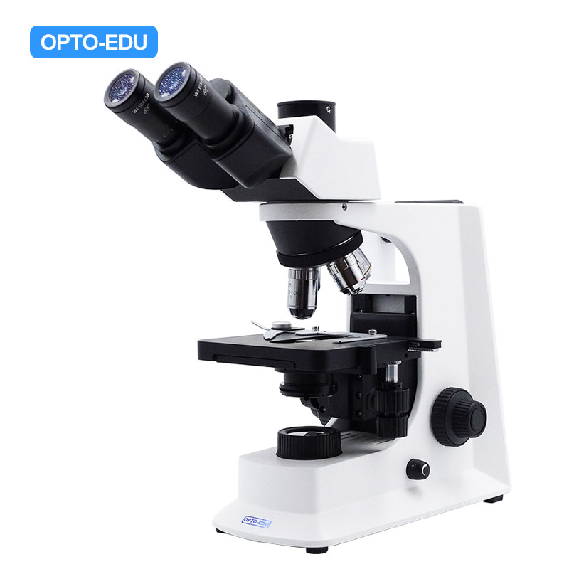 OPTO-EDU A12.2601-DT Laboratory Biological Microscope, Trinocular ...