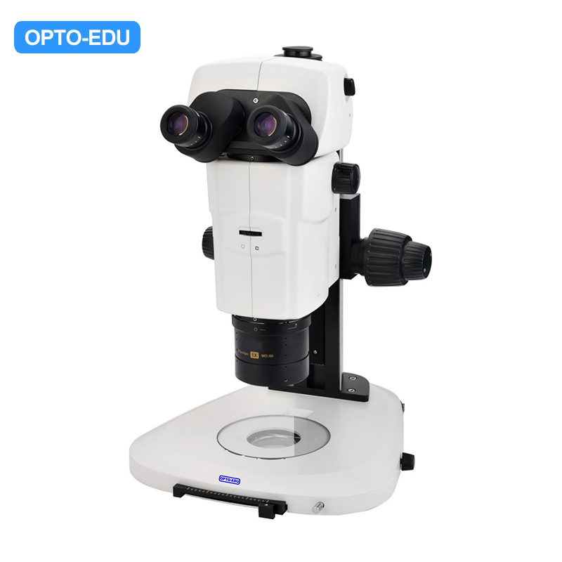 Parallel Zoom Stereo Microscope | Optoedu