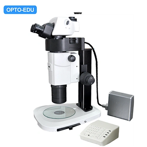 Stereo Microscope | Optoedu