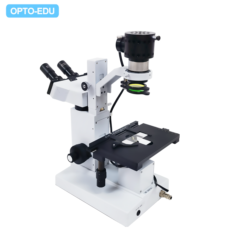 Inverted Microscope, Trinocular from China Manufacturer - Opto-Edu ...
