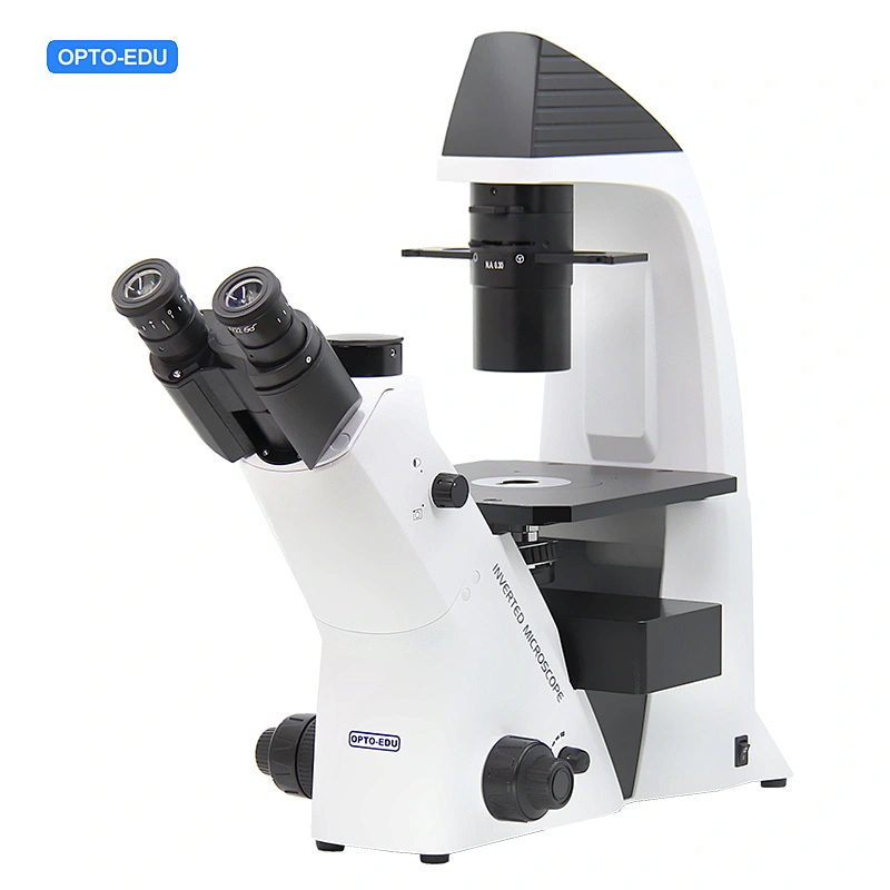 Inverted LED Fluorescent Microscope - OPTO-EDU