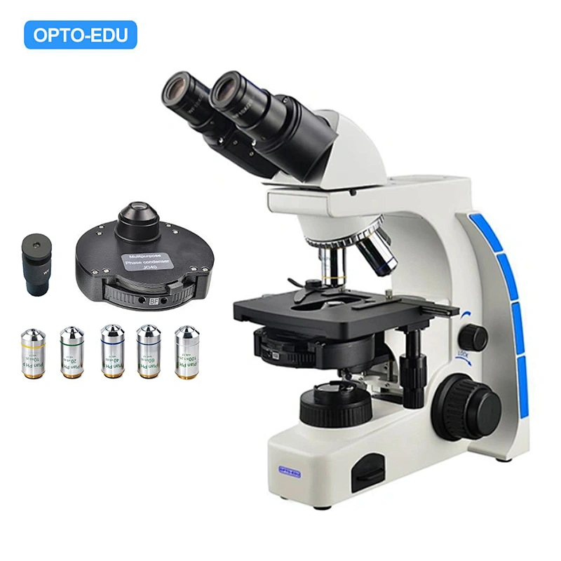 OPTO-EDU A19.2702-B Phase Contrast Microscope, Infinity Plan, Turret ...