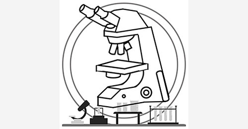 What Is Microscope - Definition, Working Principle and Application
