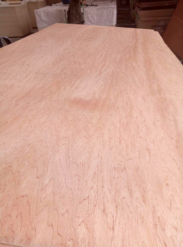 madera contrachapada - LINYI LUJU LEADER WOOD CO.,LTD