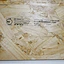 Oriented Strand Board - osb beams , osb wholesale , osb smart panel ...