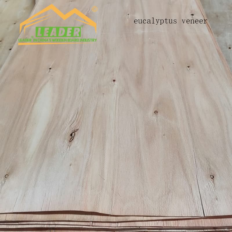 Four common defects of eucalyptus veneer - LINYI LUJU LEADER WOOD CO.,LTD