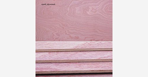 Sapeli Plywood , Sapeli Plywood Supplier