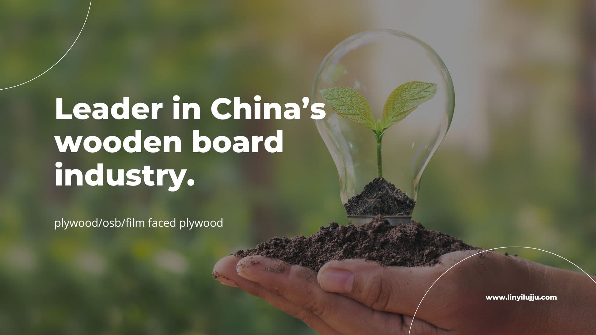 Leader Red Cedar Plywood Sheets - LINYI LUJU INC