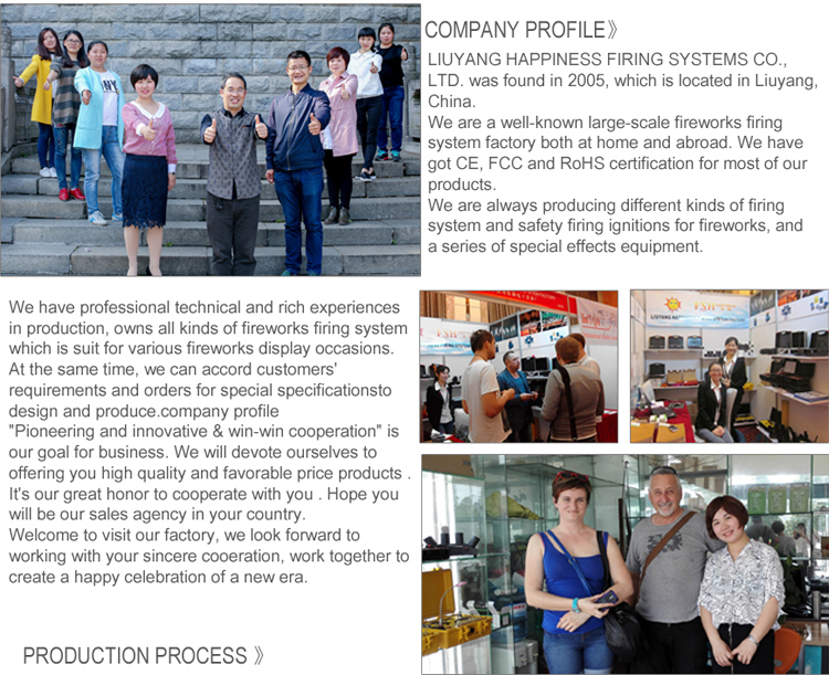 HAPPINESS Professional Pyrotechnic Firing System, DBW02AUTO ...