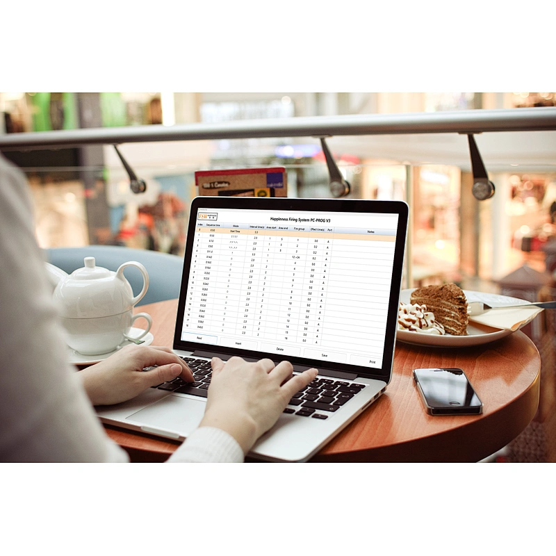 DBW03AUTO Professional Fireworks Firing System for Wedding Displays & Shows