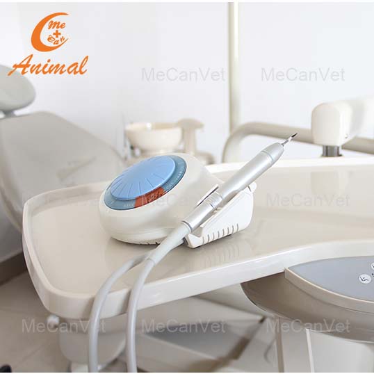 Veterinary Ultrasonic Scaler | Dental Pets