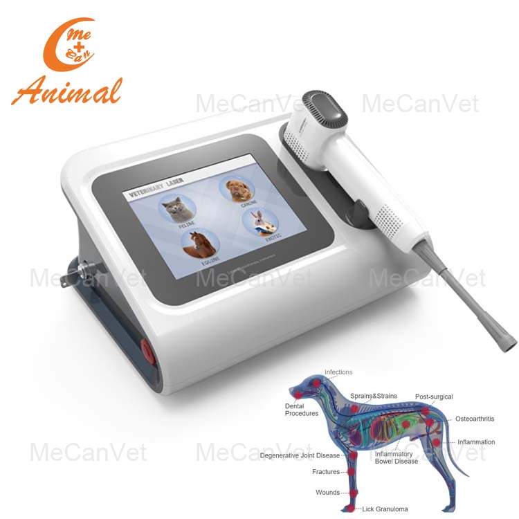 Advanced Pet Laser Therapy Machine for Veterinary Use