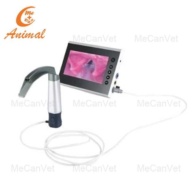 Reusable Veterinary Laryngoscope System