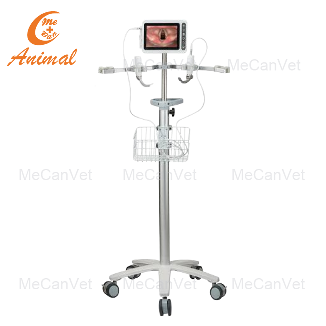 Anesthesia Video Laryngoscope | Veterinary Instrument