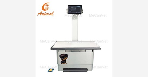 Veterinary X-Ray Machine for Vet Hospital