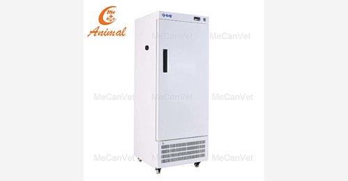 Laboratory Vertical Deep Freezer | MeCan Animal