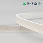 Silicone tube 12v 24v IP67 waterproof outdoor led strip light