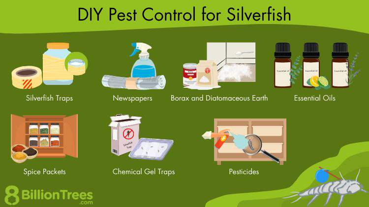 Do LED Lights Attract Silverfish? Separating Myths from Facts