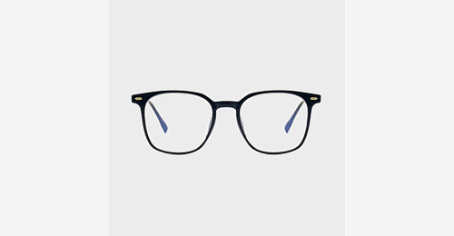 Velin glasses , metal plastic combination front , TR front - Wenzhou ...