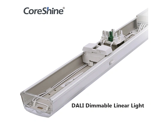 Led Linear Trunking Light Solutions | CoreShine