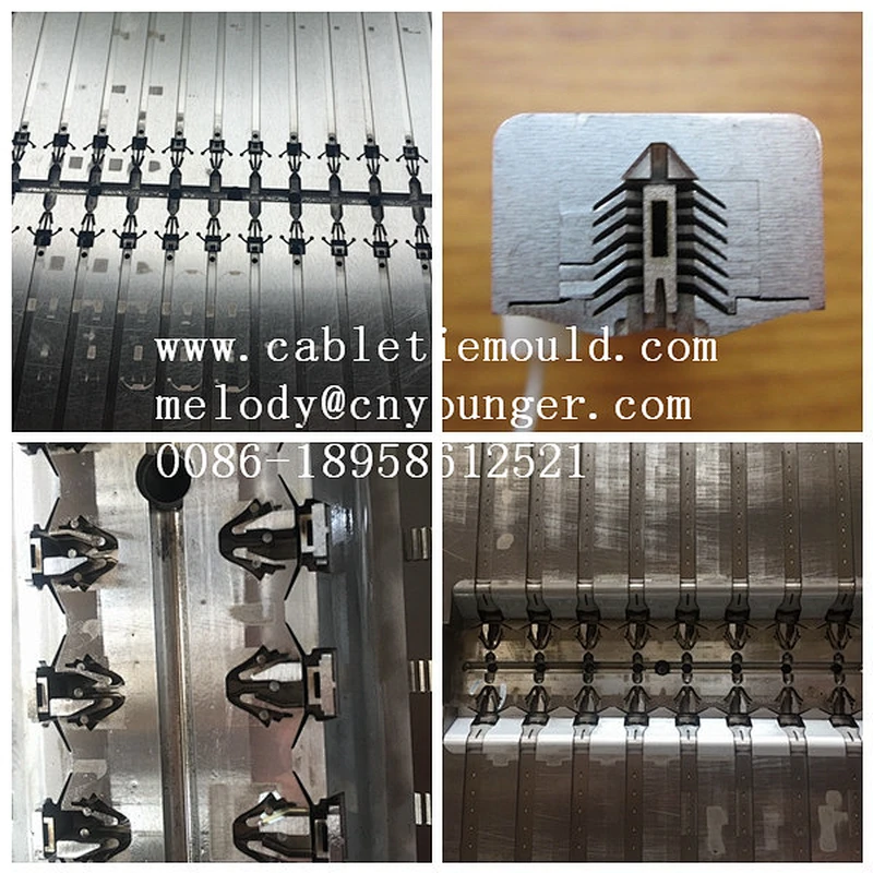 cable ties injecton mould , cable ties mould , plastic injection mould ...