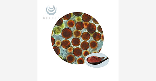 Organic Haematococcus Pluvialis Extract from China Manufacturer - Hunan ...