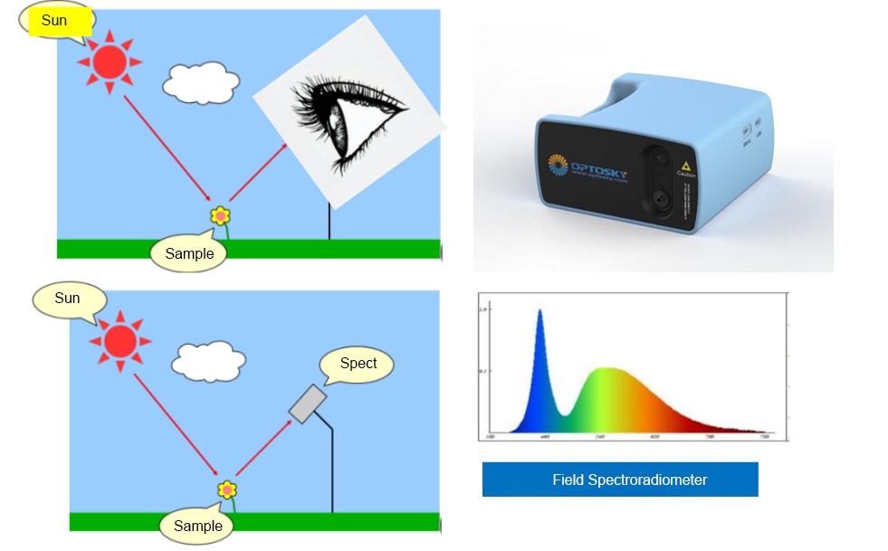 Using Field Spectroradiometer for Synthetic Emerald Identification
