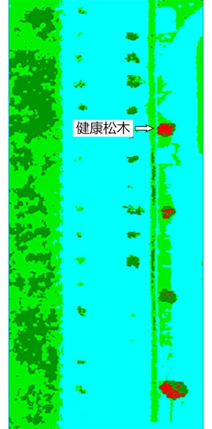 Surveillance of pine wood nematode disease based on satellite remote ...