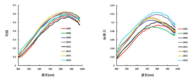 Hyperspectral Analysis of Grain Year Identification