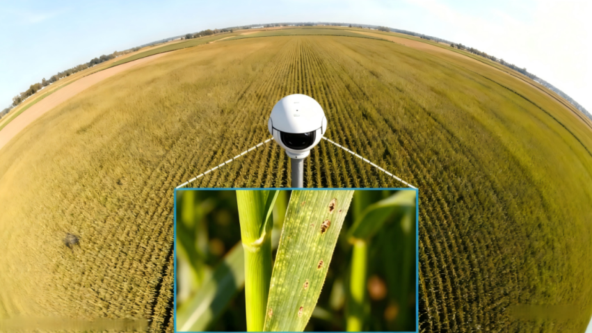 NY3300Pro Multispectral Agricultural Monitoring Instrument: All-Weather ...