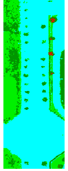 Surveillance of pine wood nematode disease based on satellite remote ...