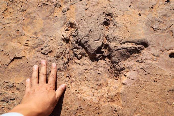 Spectral Analysis: Unlocking the Code of Bioarchaeology
