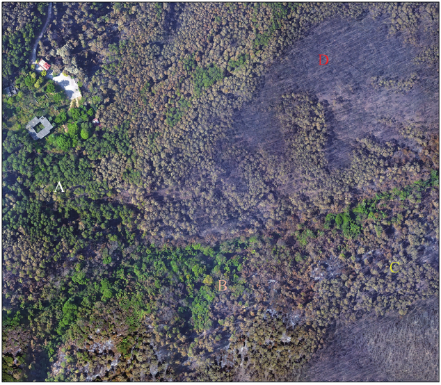 Leveraging Hyperspectral Remote Sensing for Enhanced Forest Fire Monitoring