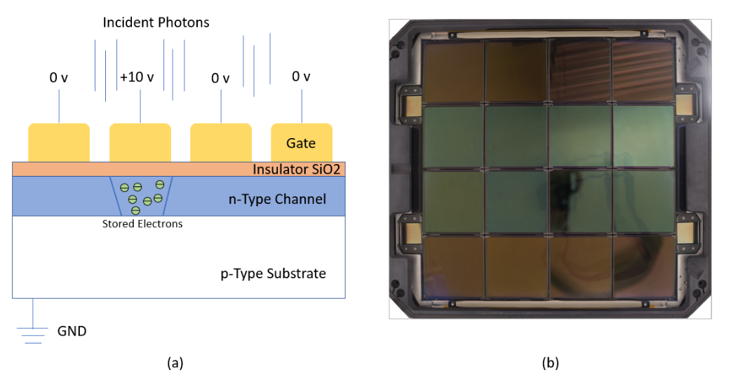 Introduction to Spectrometer Detectors
